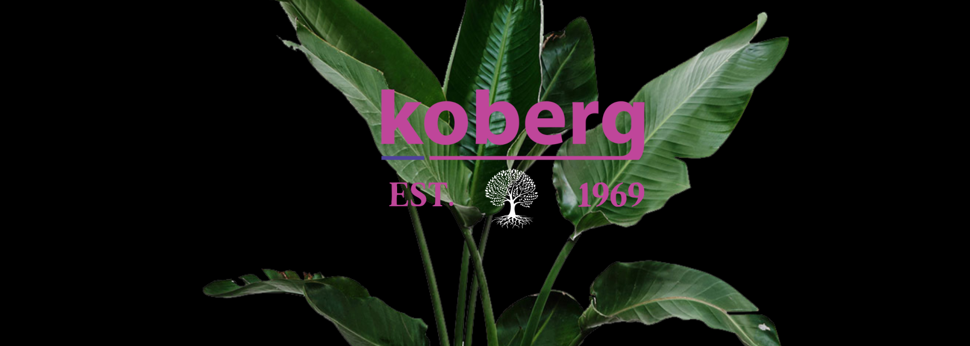 Webshop | Koberg B.V.