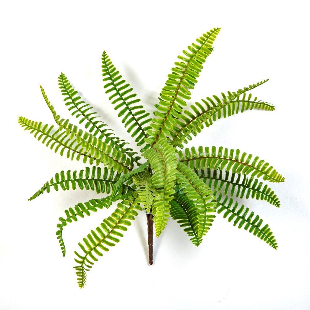 Artificial Plants / Wild boston fern | Koberg B.V.