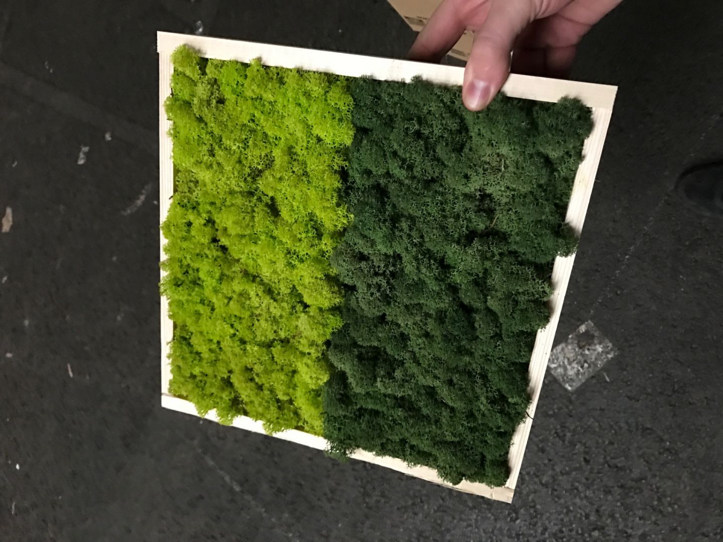 Vertical green / Moss / moss sample frame | Koberg B.V.