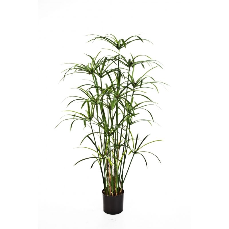 Artificial Plants / Royal papyrus plant w/pot | Koberg B.V.