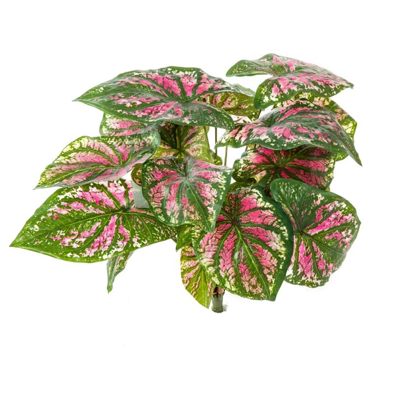 Artificial Planten / Caladium bush x 7 | Koberg B.V.