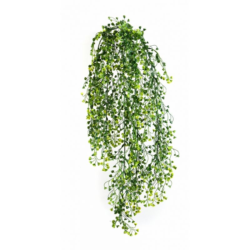Artificial Plants / Baby tear hanging bush x 5 | Koberg B.V.
