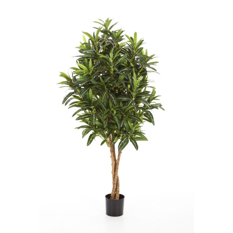 Artificial Plants / Croton goldfinger tree | Koberg B.V.