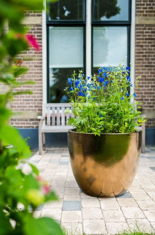 Containers / Couple / Pot Pure gold | Koberg B.V.