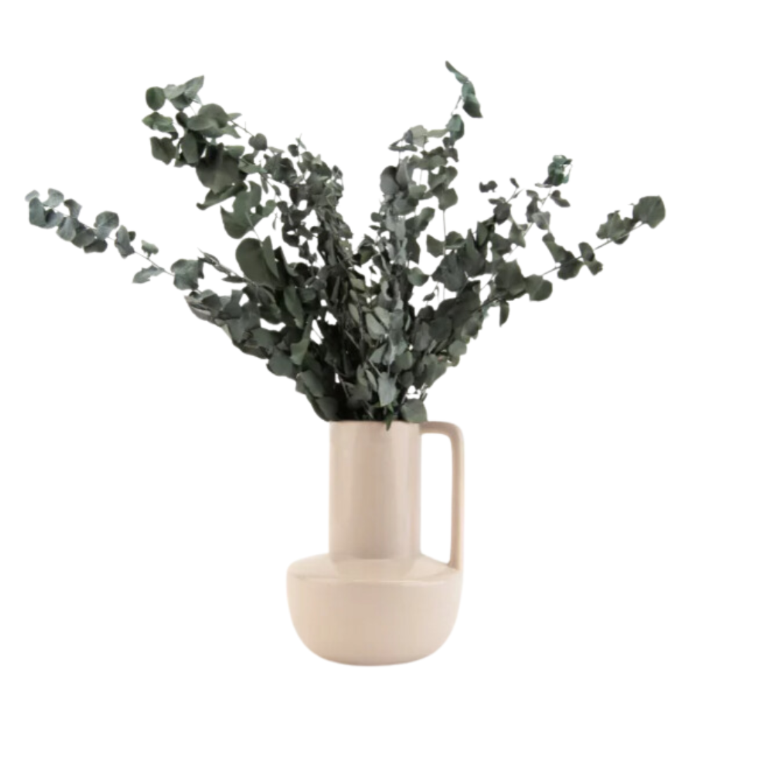 Preserved / Preserved Eucalyptus Stuartiana | Koberg B.V.