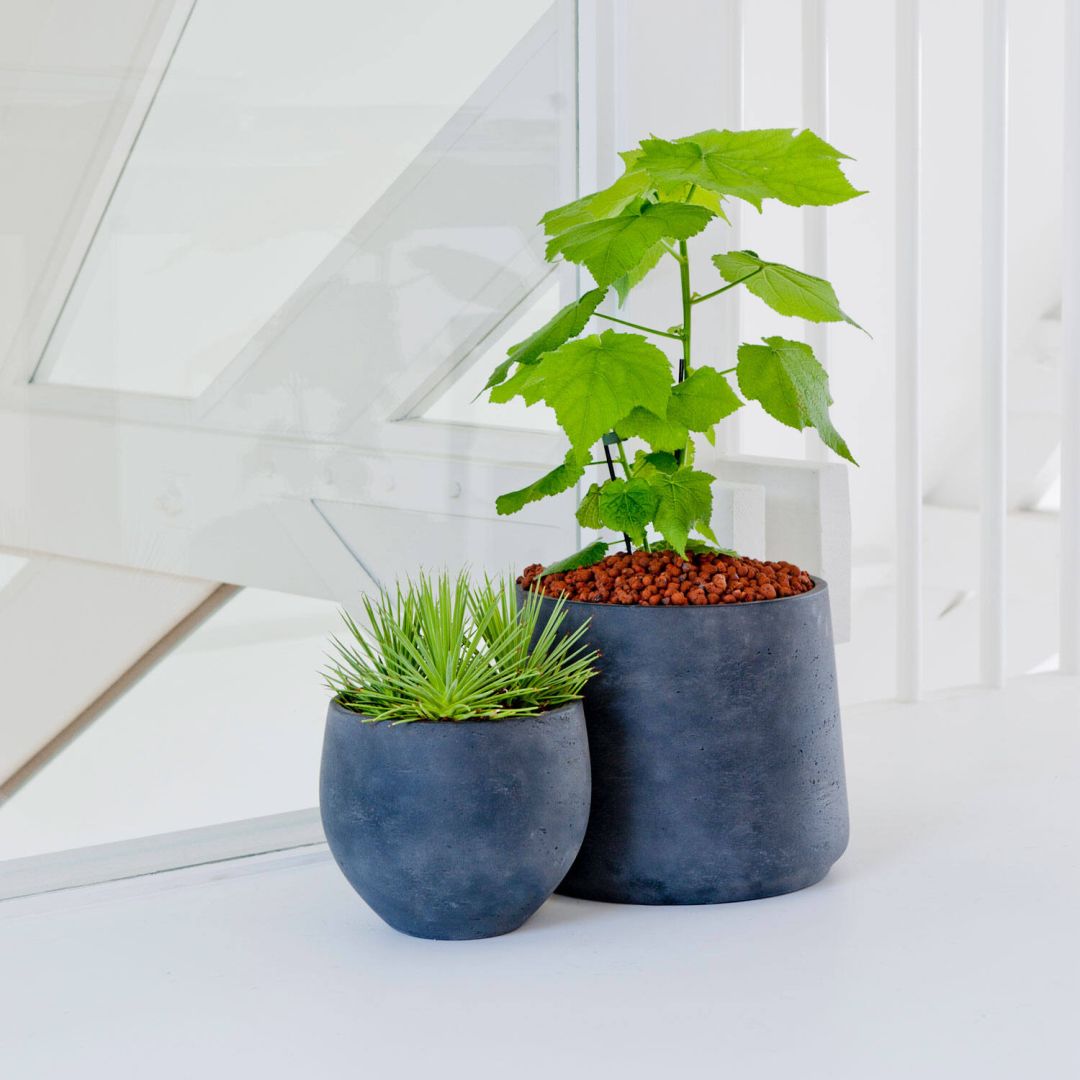 Containers / Couple / Mini Orb L | Koberg B.V.