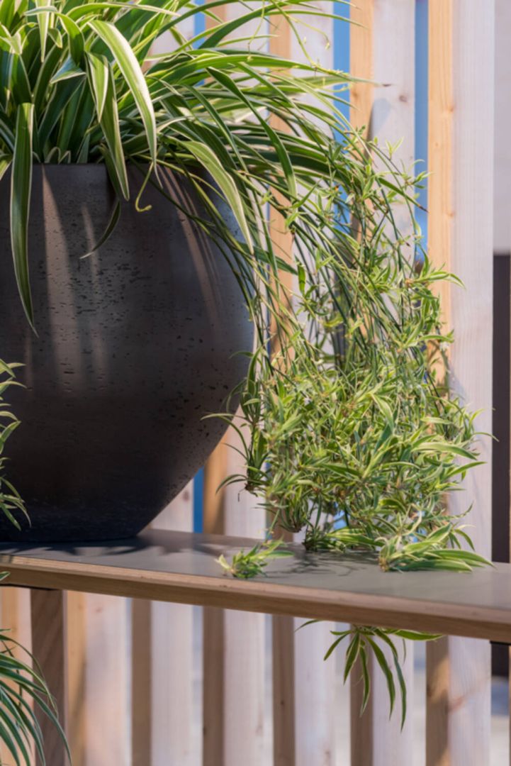 Containers / Couple / Mini Orb XL | Koberg B.V.